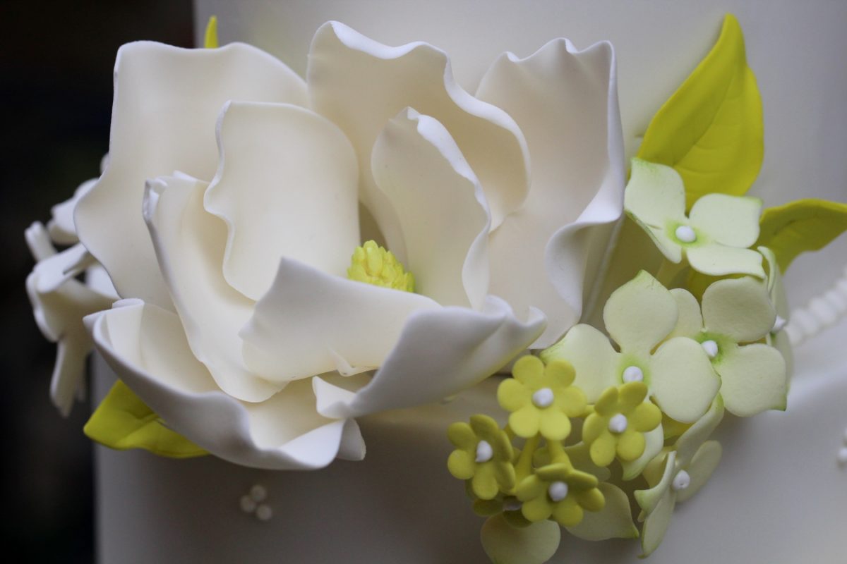 Magnolia Wedding Cake | Fair Cake